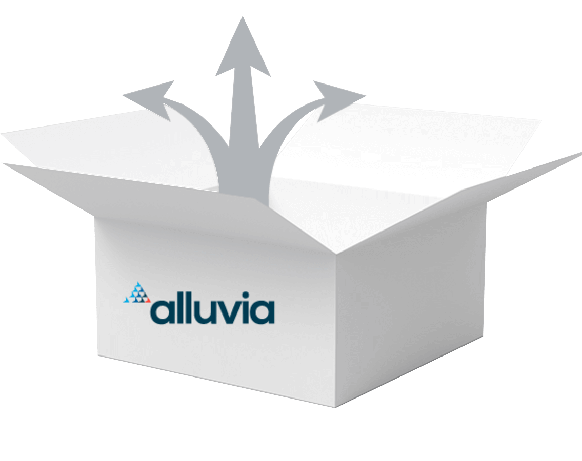 Business One Ecommerce - Alluvia